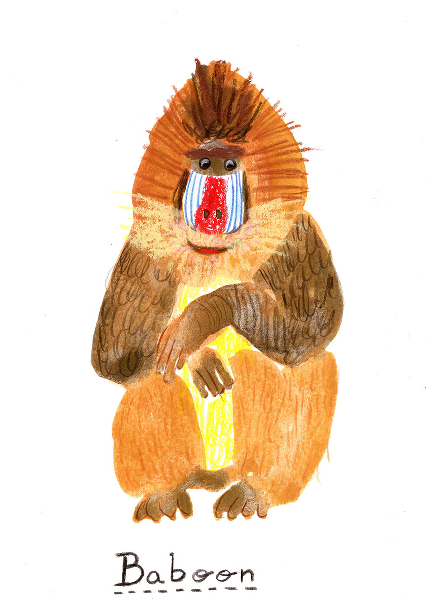 ANIMAL ALPHABET - Bia Melo